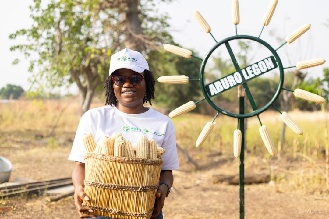 THP Ghana Marks World Hunger Day with Call to 'Sow Resilience ...